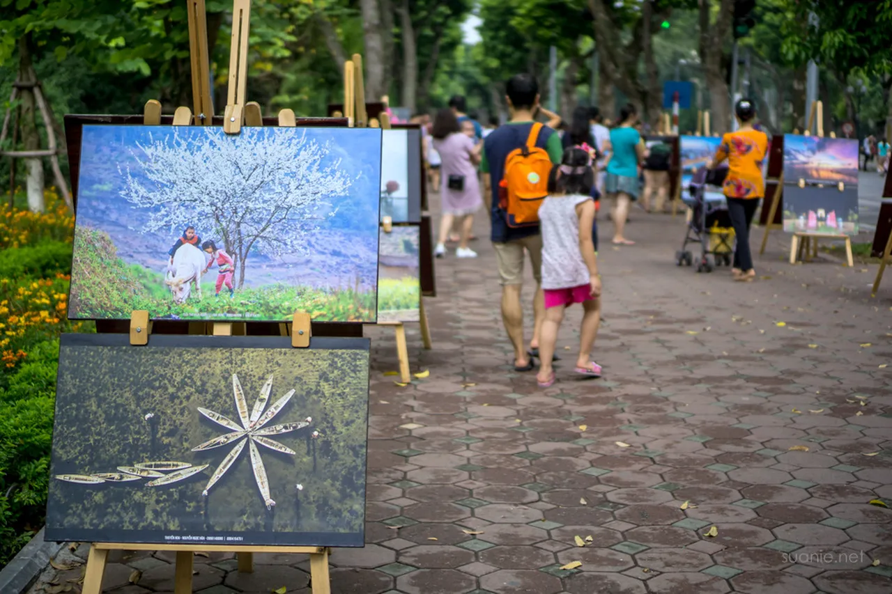 Sapa 5-Day Itinerary: A Captivating Journey in Nature