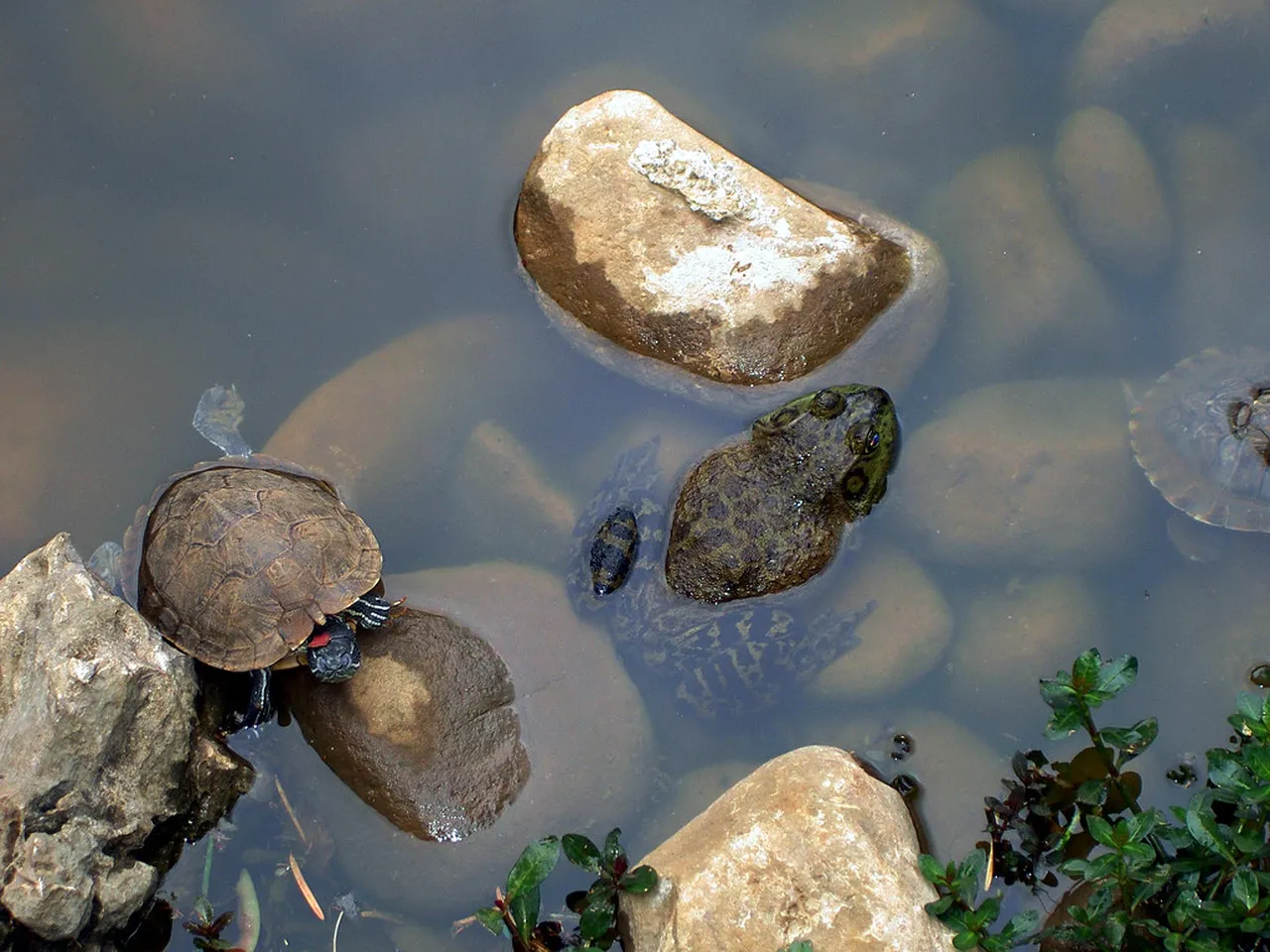 Kunming 3-Day Itinerary: Explore the City of Eternal Spring