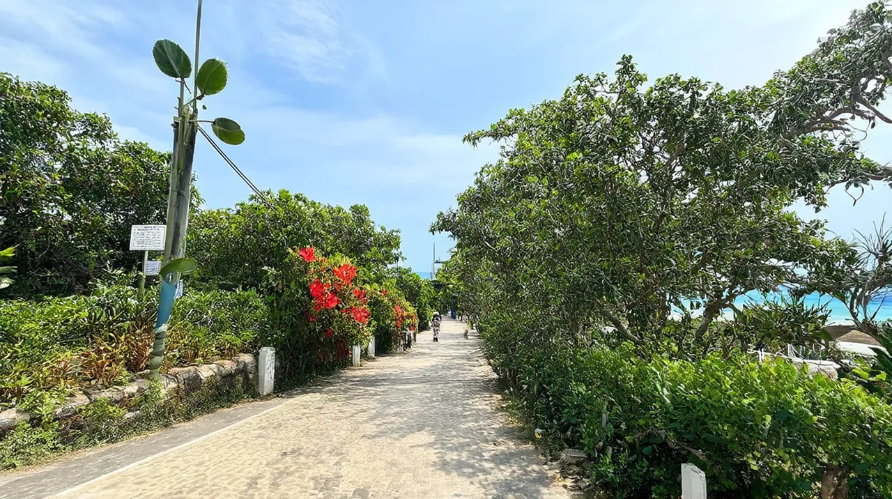 Kupang Weekend Itinerary: Explore Indonesia's Hidden Gem