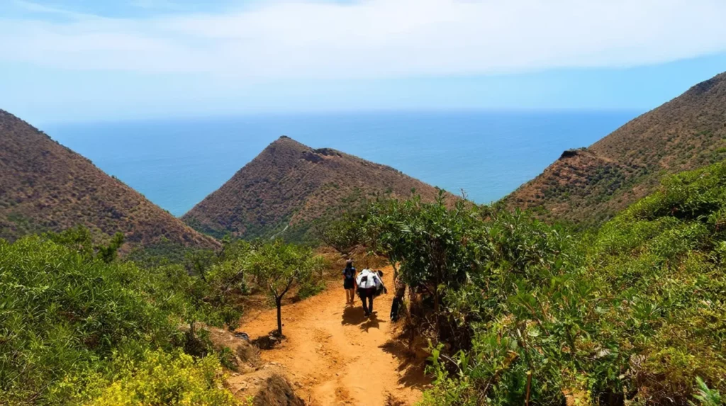 Pinhão 5-Day Itinerary: Explore the Douro Valley