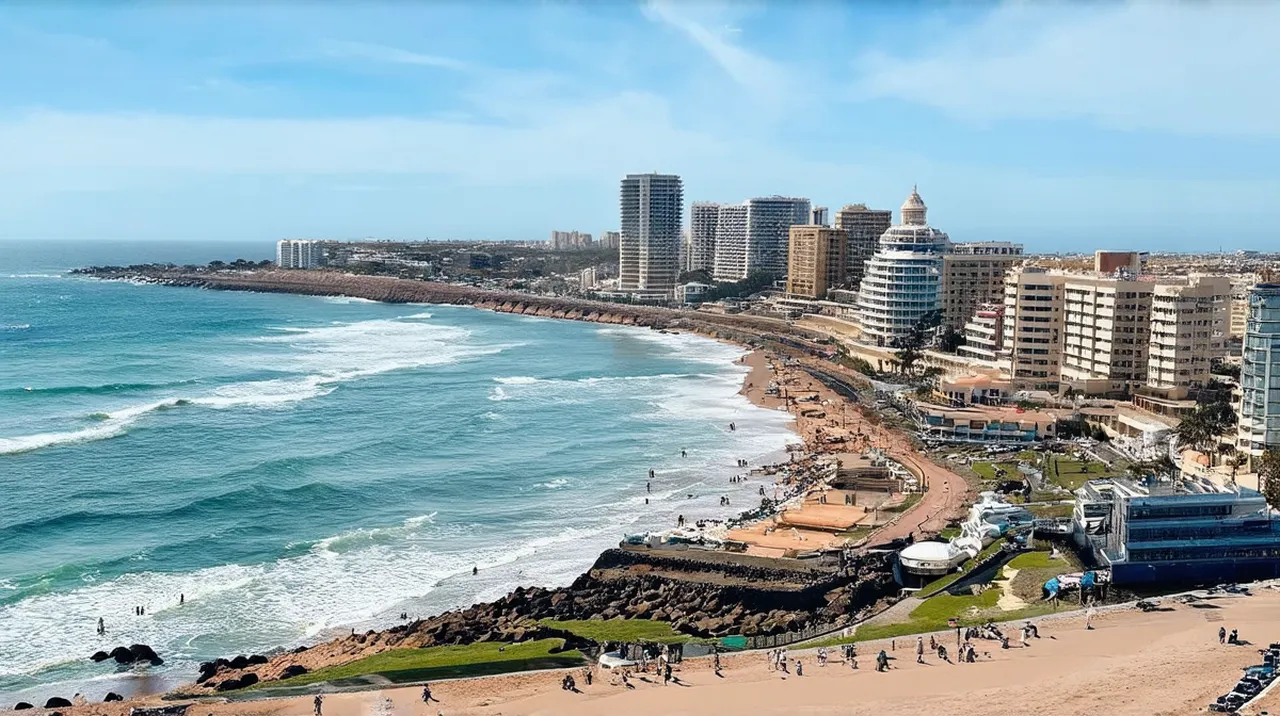 Port Elizabeth Travel Itinerary: Explore the Friendly City